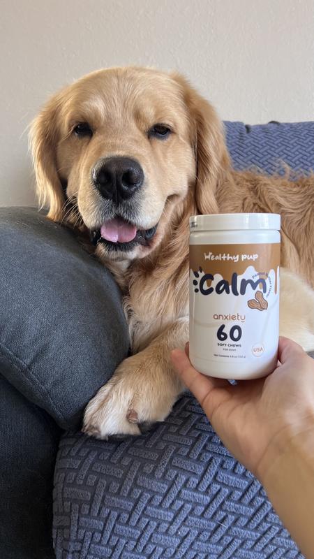 HEALTHY PUP Calming Peanut Butter Bliss Dog Supplement, 60 count ...