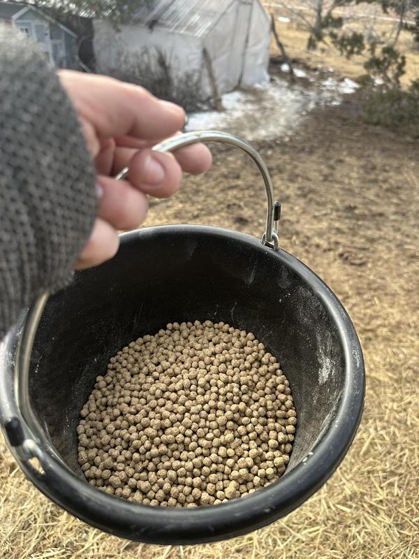 NUTRENA NatureWise Nourishing Waterfowl 18% Protein Floating Bits Duck ...