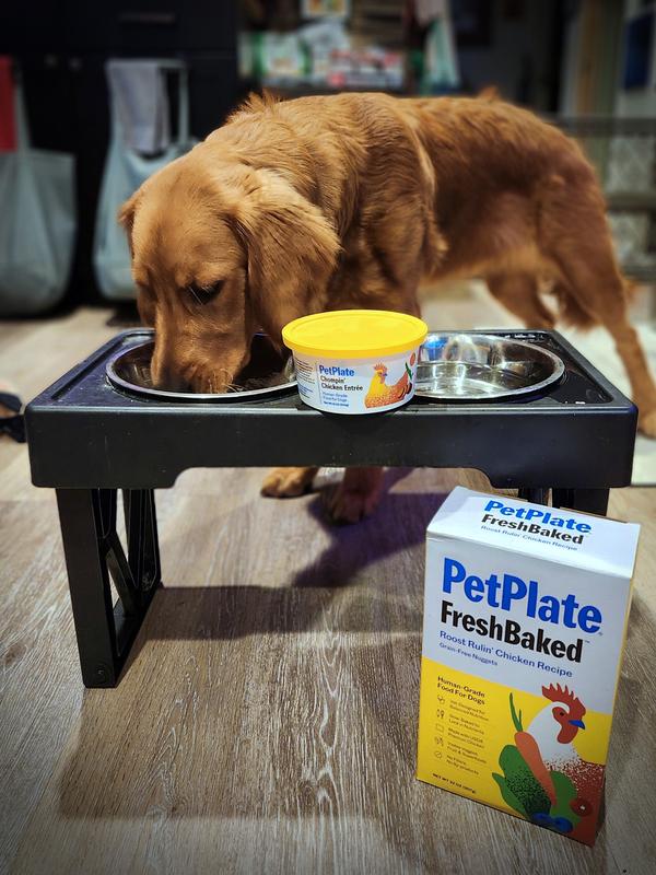 PETPLATE Human Grade Chicken Starter Pack Fresh Wet & Air-Dried Baked ...