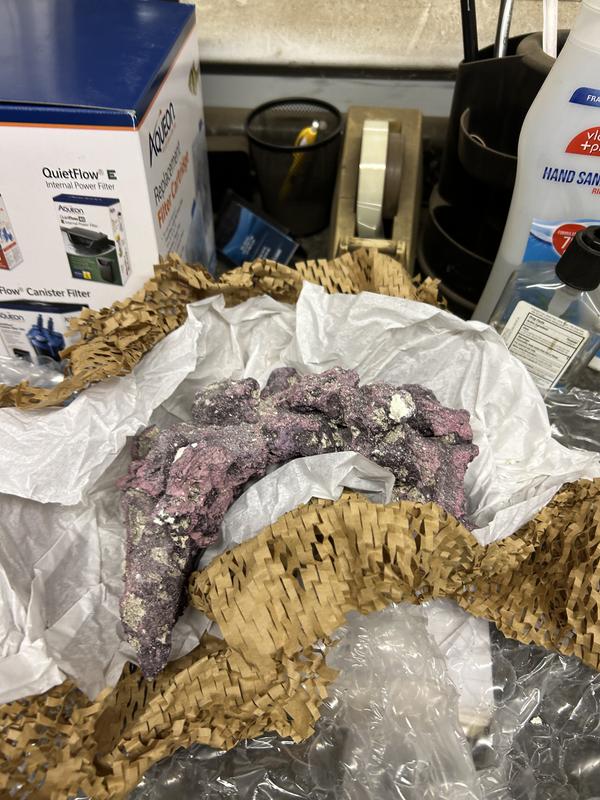 CARIBSEA LifeRock Nano Arch Aquarium Rock, 1 count - Chewy.com