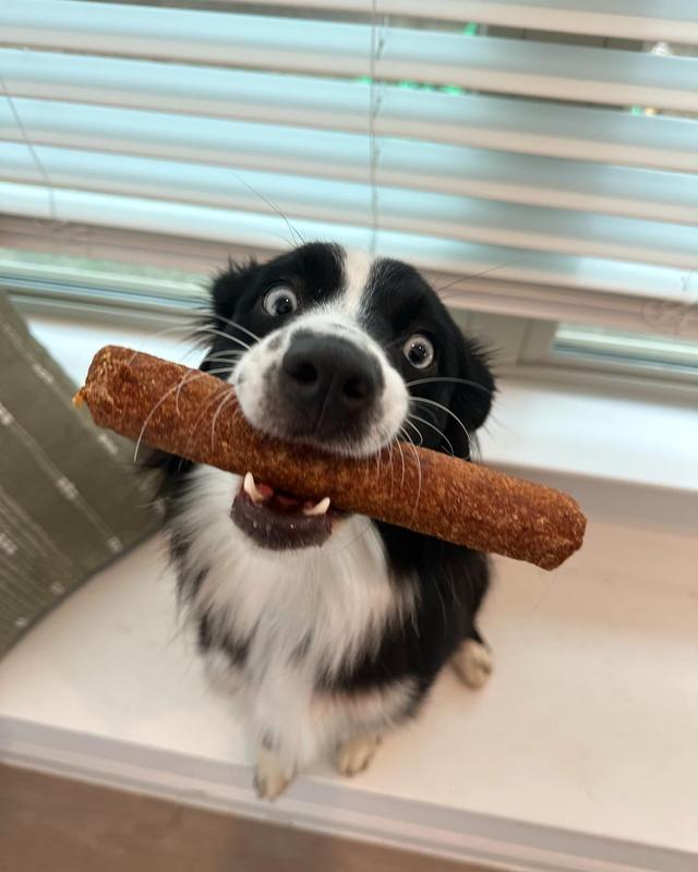 CADET Gourmet Savory Duck Rolls Dog Treats, 2 count - Chewy.com