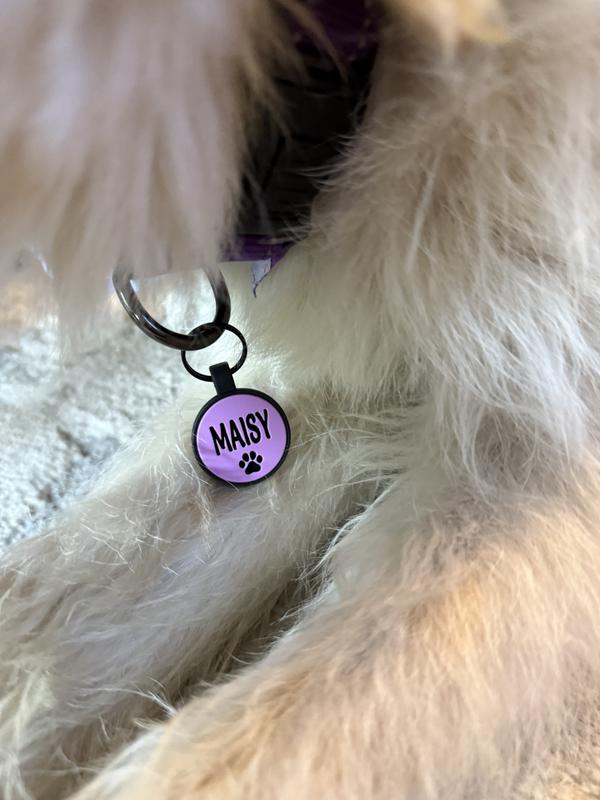 GOTAGS Personalized Silicone Round Dog & Cat ID Tag, Large, Gray ...