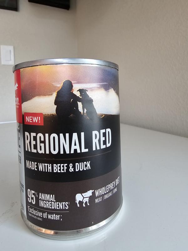 ORIJEN Adult High-Protein Regional Red Pate with Liver Wet Dog Food, 12 ...