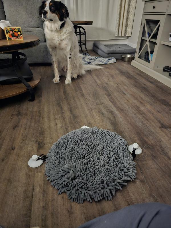 FRISCO Snuffle Mat, Grey - Chewy.com