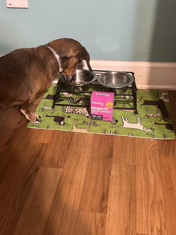 VIBEFUL Probiotic Gastrointestinal Support Powder Digestive Supplement ...