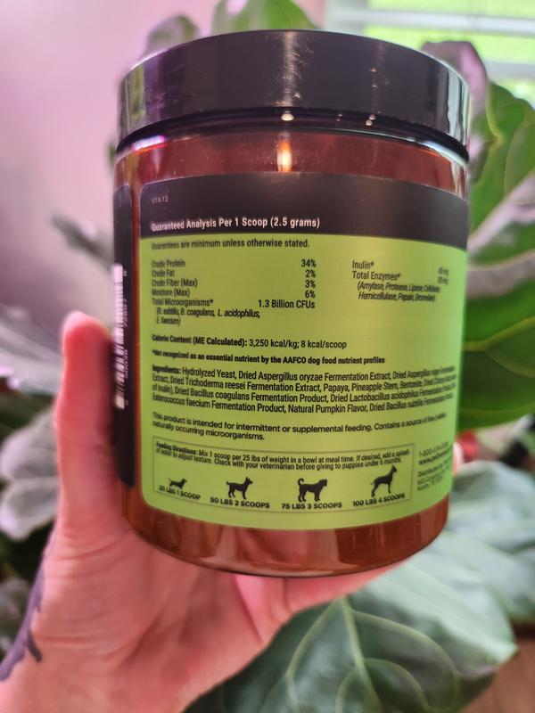 PET HONESTY Probiotics GI Pumpkin Flavored Digestive Powder for Dogs ...