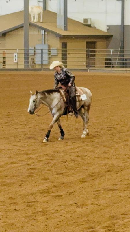 ADEQUAN EQUINE (polysulfated glycosaminoglycan) Injectable for Horses ...