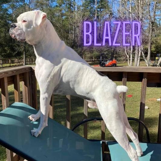 PALLADIA (toceranib phosphate) Tablets for Dogs, 50-mg, 10 tablets ...