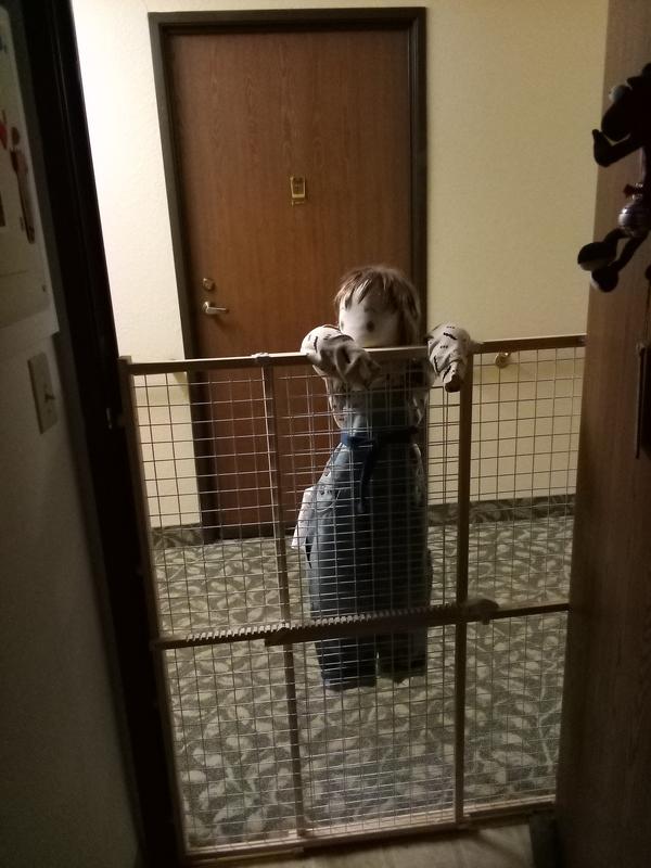 MIDWEST Wood/Wire Mesh Pet Gate, 32-in - Chewy.com