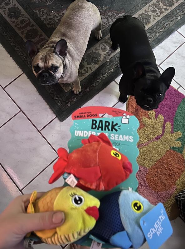 BARK The Groupers 3-in-1 Squeaky Plush Dog Toy - Chewy.com