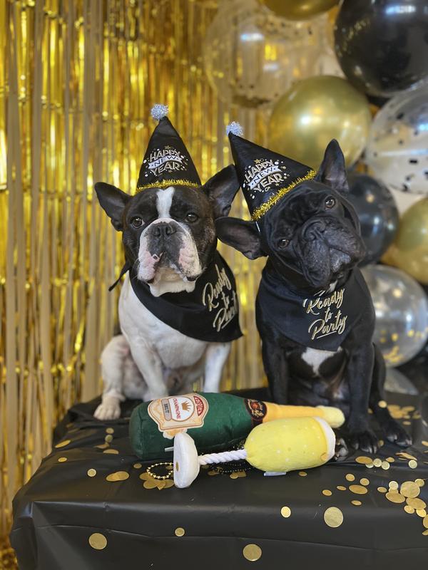 FRISCO Champagne & Flute Plush Squeaky Dog Toy, Medium, 2 count - Chewy.com