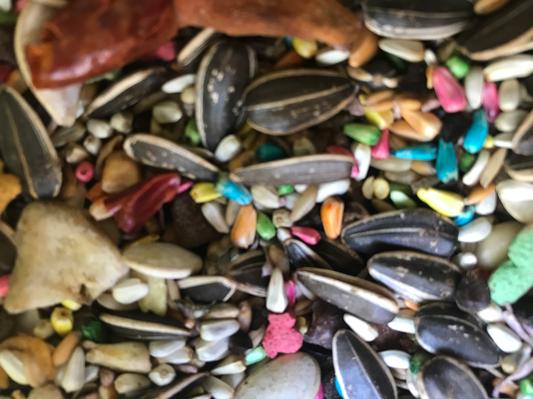 BROWN'S Tropical Carnival Gourmet Large Hookbill Food, 5-lb bag - Chewy.com