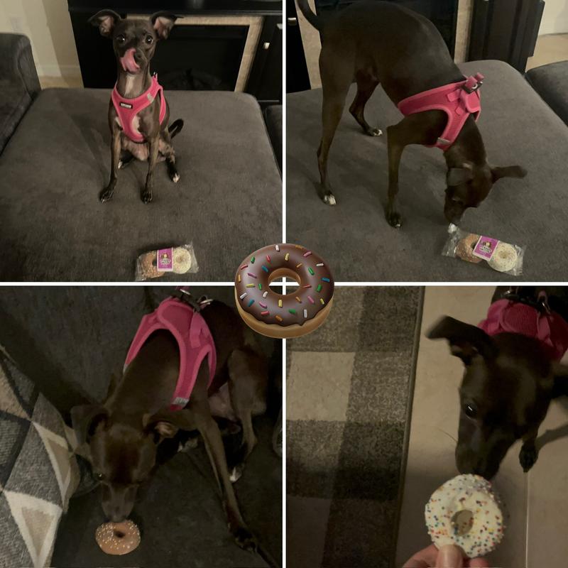 COSMO'S SNACK SHACK Yogurt Doggy Dough-Mutts Handmade Soft & Chewy Dog Treats, 2 count - Chewy.com