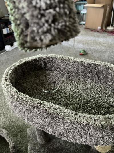 FRISCO 44-in Real Carpet Cat Tree with Replaceable Corrugate Scratcher ...
