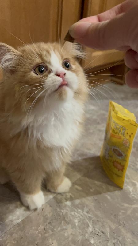 TINY TIGER Chicken Chompers Flavor Filled Crunchy Cat Treats, 16-oz bag ...