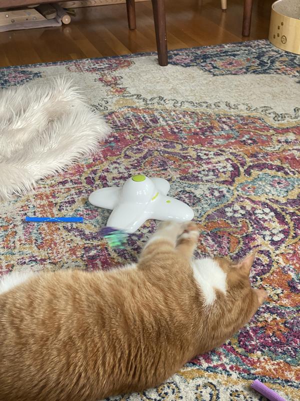 ALLFORPAWS Flutter Bug Interactive Cat Toy, White - Chewy.com