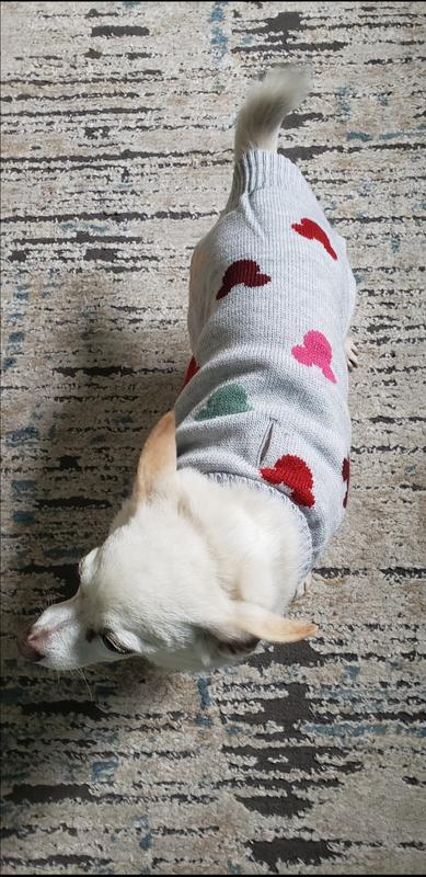 DISNEY Mickey Mouse Confetti Dog & Cat Sweater, Medium - Chewy.com