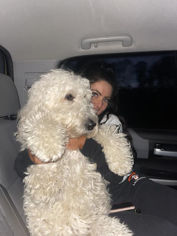 ZIPPYPAWS Emojiz Squeaky Plush Dog Toy, Pizza - Chewy.com