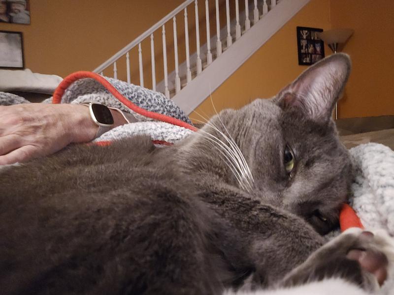 LACTULOSE (Generic) Oral Solution, 10g/15mL, 32-oz - Easy Refills ...