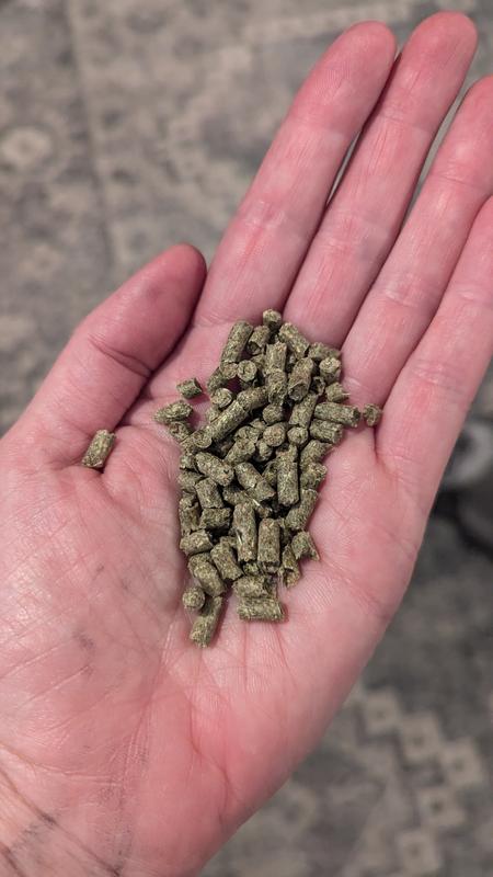 KENT / BLUE SEAL Home Fresh Pro Hutch 16 Pellet Rabbit Food, 25-lb bag ...