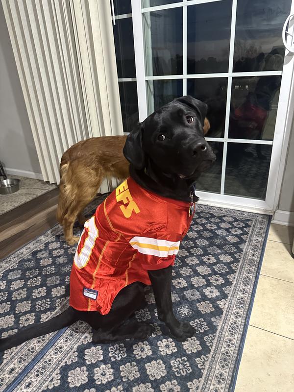 PETS FIRST NFL Dog & Cat Jersey, Kansas City Chiefs, X-Large - Chewy.com