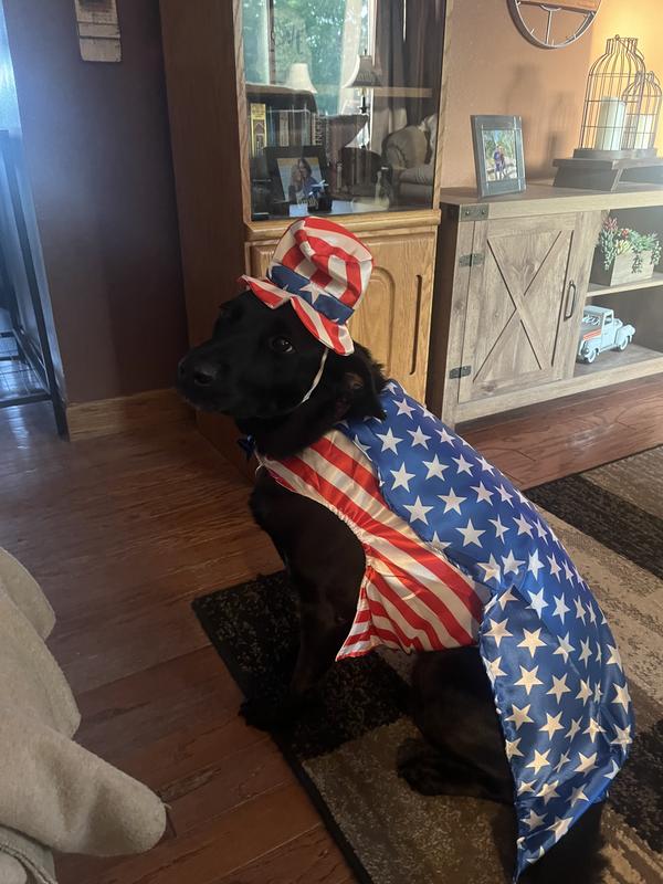 Out of Stock - RUBIE'S COSTUME COMPANY Uncle Sam Dog Costume, Medium ...