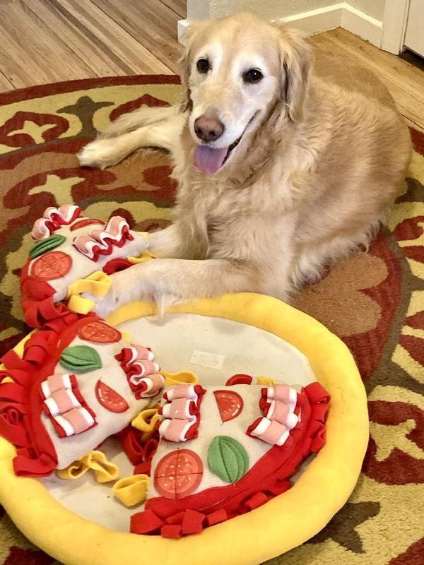FRISCO Pizza Snuffle Mat, Yellow, Medium - Chewy.com