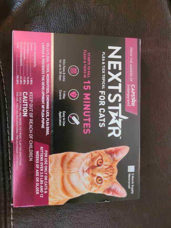 NEXTSTAR Fast Acting Cat Flea & Tick Treatment 3 doses - Chewy.com