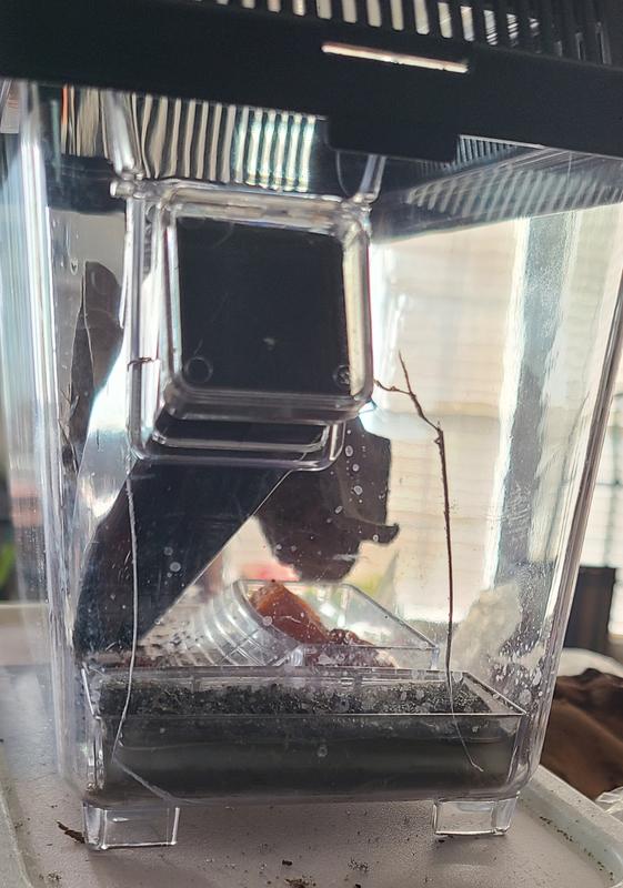 EXO TERRA Cricket Pen with Dispensing Tubes, Small - Chewy.com