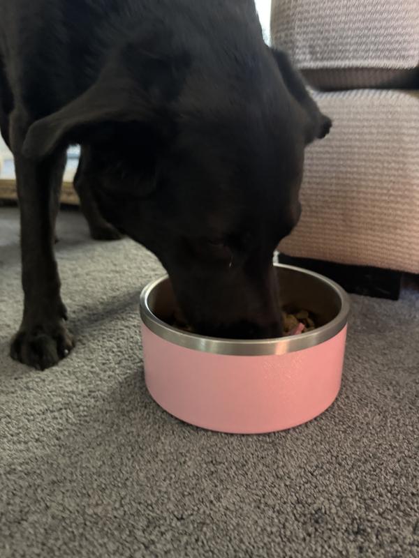 JINX Kibble Sauce Beef Bone Broth Wet Dog Food Topper, 12-fl oz bottle ...