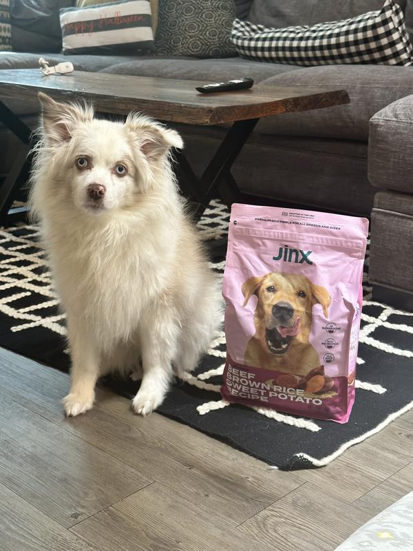 JINX Beef, Brown Rice & Sweet Potato ALS Kibble Dog Dry Food, 23.5-lb ...