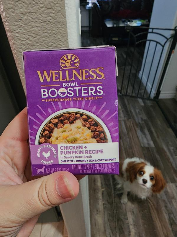WELLNESS Bowl Boosters Hearty Toppers Chicken Wet Dog Toppers, 5.5-oz ...