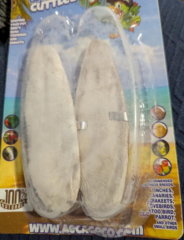 A&E CAGE COMPANY 6-in Natural Cuttlebone Twin Blister Pack Bird Treats ...