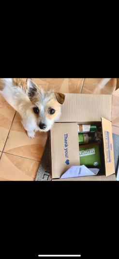 ADVENTURE MEDICAL KITS Adventure Dog Series Trail Dog First Aid Kit for ...