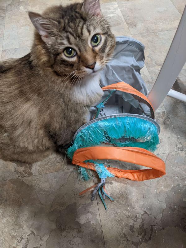 SMARTYKAT Fringe Frenzy Cat Activity Tunnel - Chewy.com