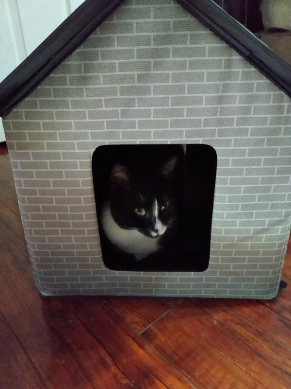 TRIXIE Insulated Outdoor Cat & Dog House, Gray - Chewy.com