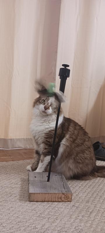 PLAYOLOGY Motorized Hummingbird/Butterfly Teaser-Wands Cat Toy ...