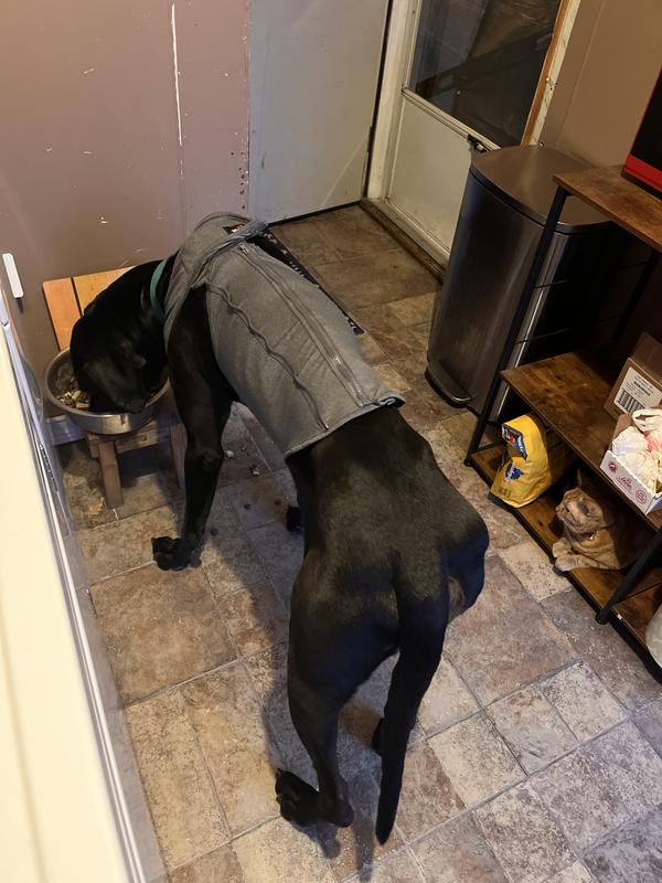 NEOALLY Multi-Function Surgical Recovery Suit 3 Level Compression ...