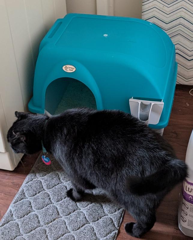 OMEGA PAW Roll 'n Clean Self Cleaning Cat Litter Box, Sky Blue, Regular ...