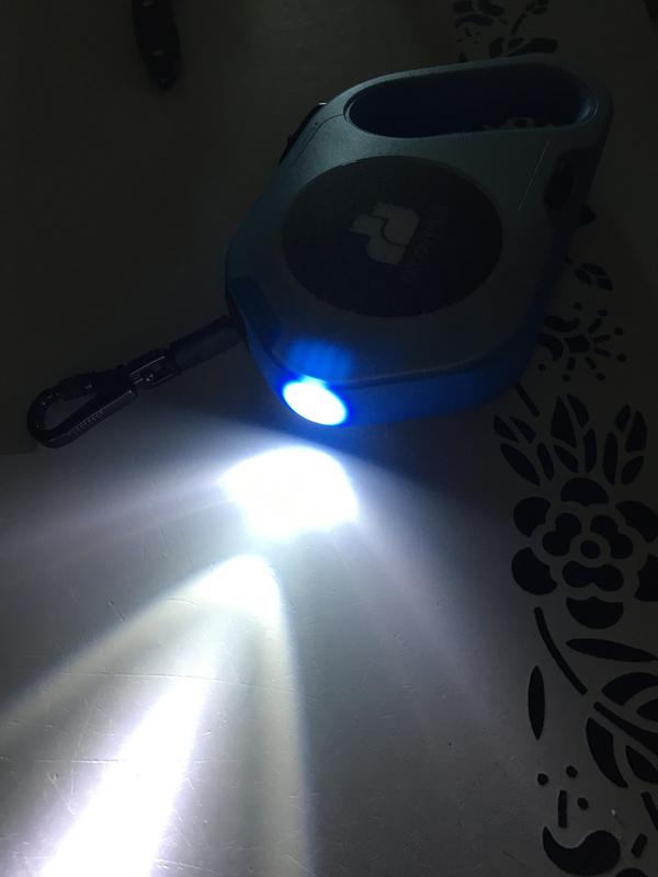 GROOVYPETS LED Flashlight Color Streamer Ring Nylon Retractable Dog ...