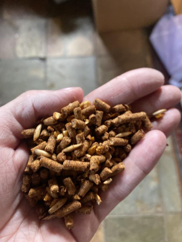 SWEET COUNTRY FEEDS 12% Protein All-Stock Feed Farm Animal & Horse Feed ...