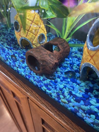 ZOO MED Ceramic Betta Log - Chewy.com