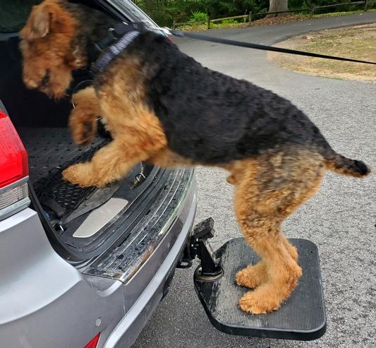 HEININGER PortablePET SUV Twistep Dog Hitch Step - Chewy.com