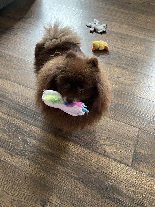 KONG Squeaker Refills, 6 count, Small - Chewy.com