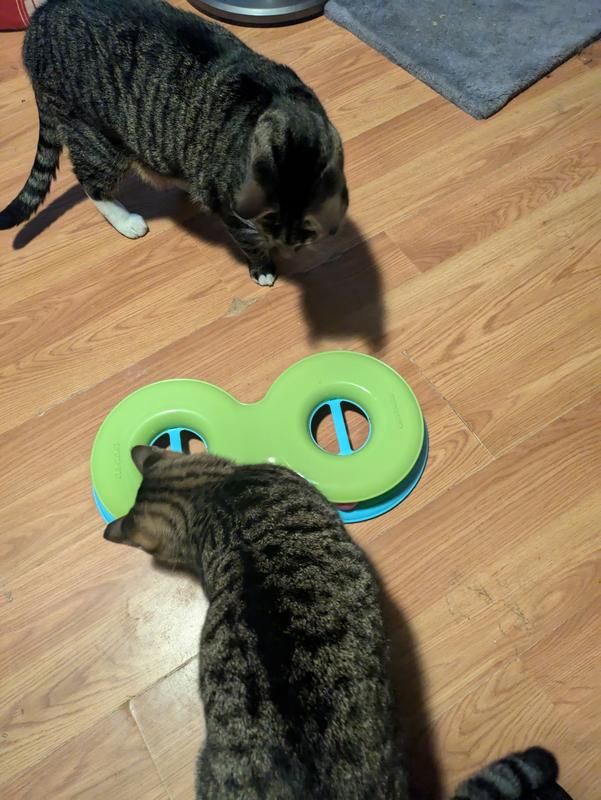 CATSTAGES Infinity Ball Track Including One Light-Up Ball, Figure-8 ...