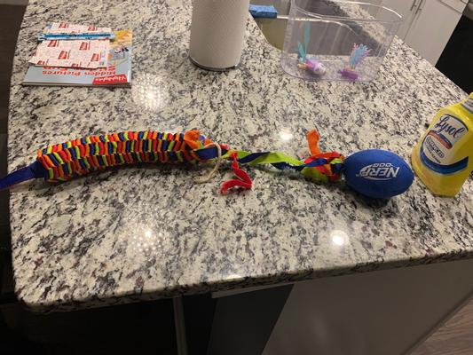 NERF DOG Vortex Chain Tug Dog Toy, 25-in - Chewy.com