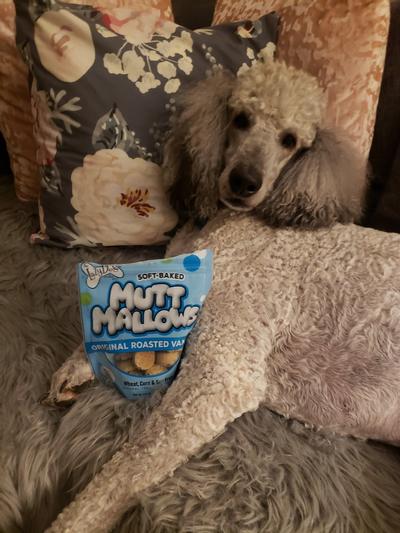 THE LAZY DOG COOKIE CO. Mutt Mallows Original Roasted Vanilla Soft ...