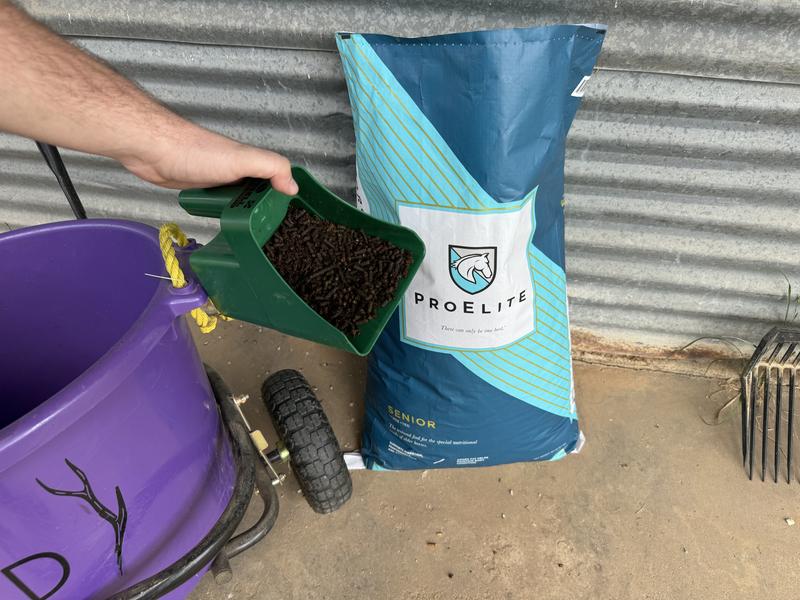 PROELITE Ultra Premium Senior Low Sugar & Low Starch Horse Feed, 50-lb ...
