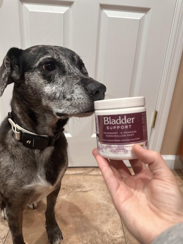 FERA PET ORGANICS Bladder Support Chicken Flavor Dog & Cat Supplement ...