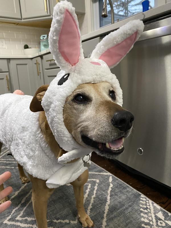 Temporarily Unavailable - FRISCO Bunny Dog & Cat Costume, XX-Large ...